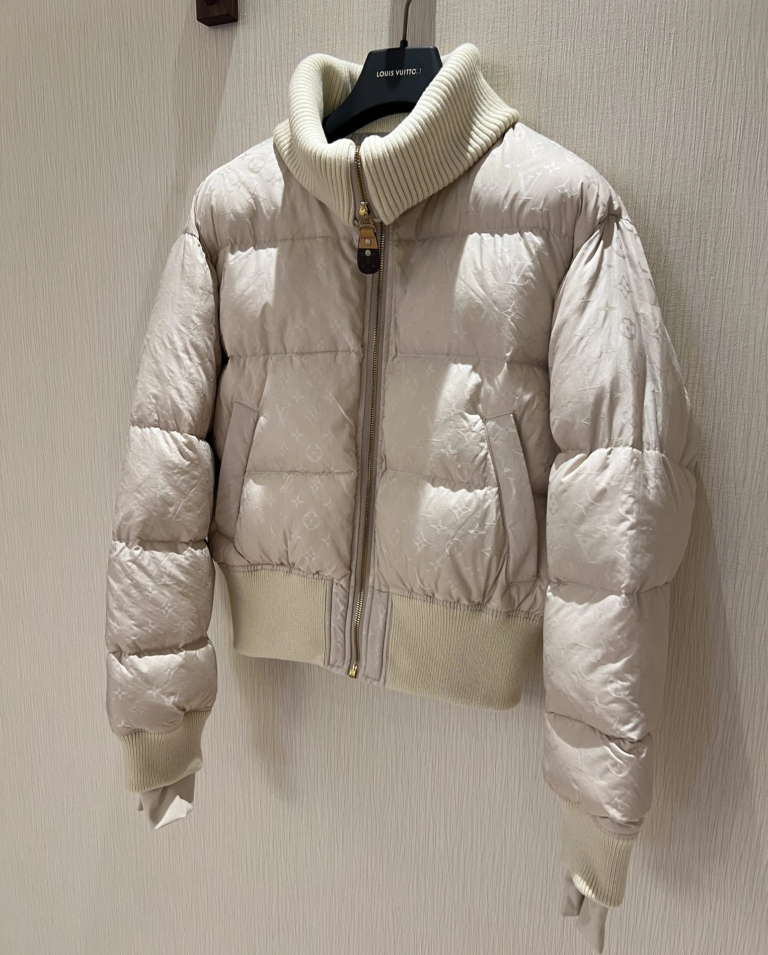 OEM Louis Vuitton Down Jackets