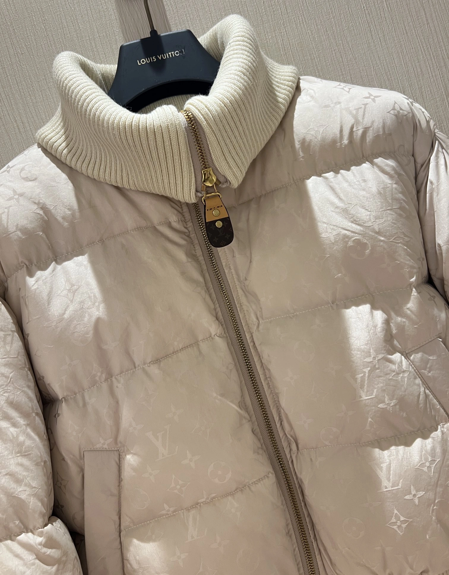 OEM Louis Vuitton Down Jackets