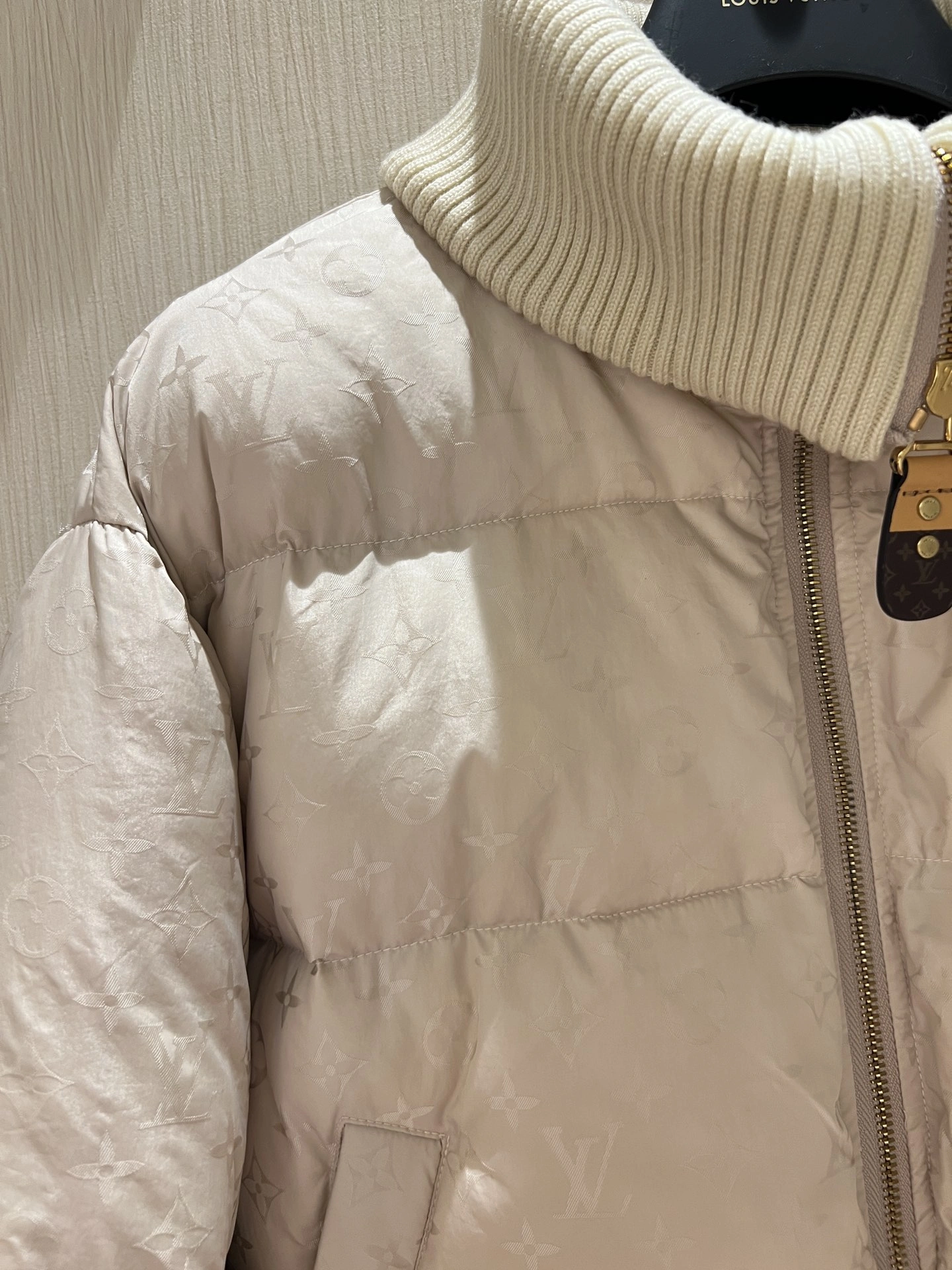 OEM Louis Vuitton Down Jackets