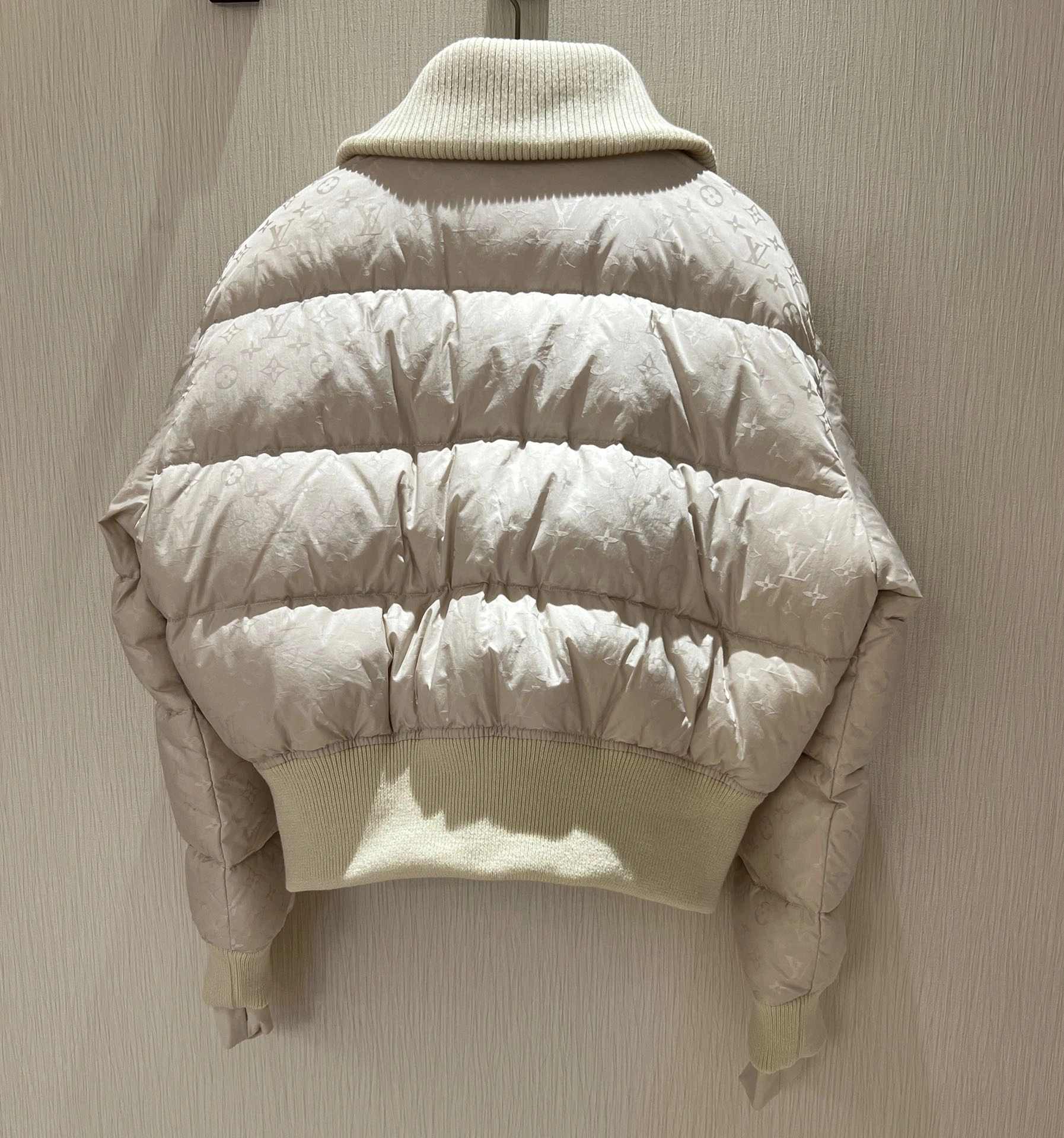 OEM Louis Vuitton Down Jackets
