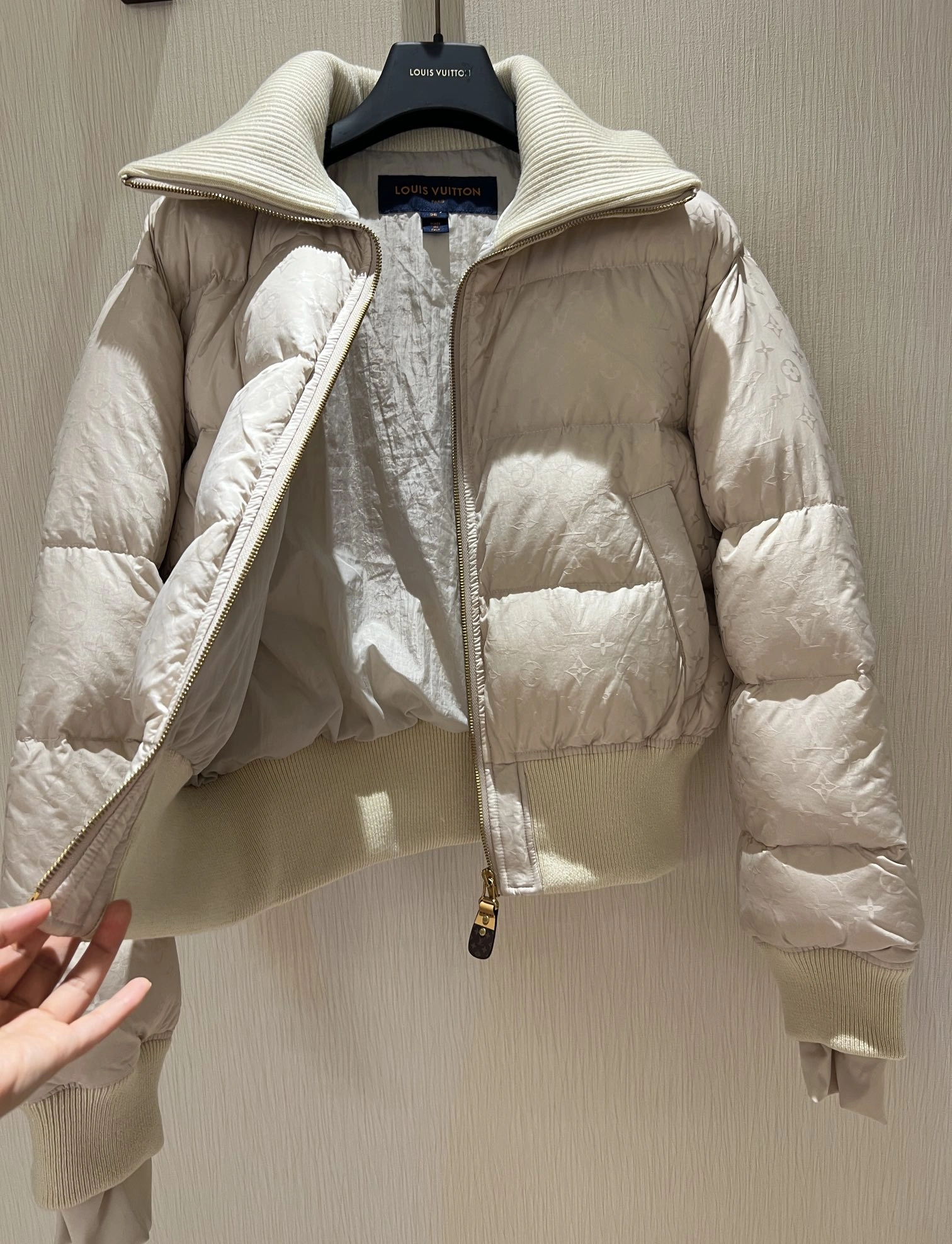OEM Louis Vuitton Down Jackets