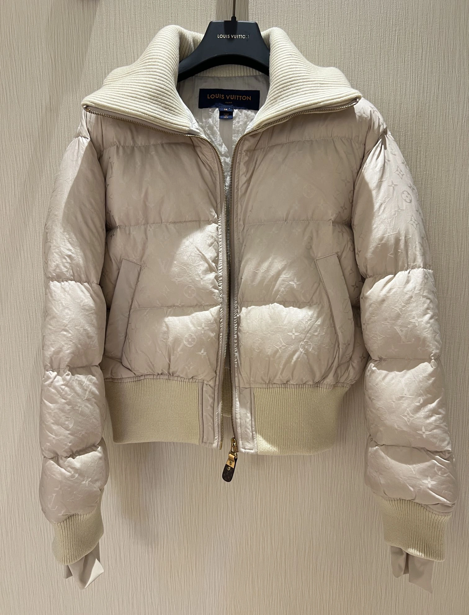 OEM Louis Vuitton Down Jackets