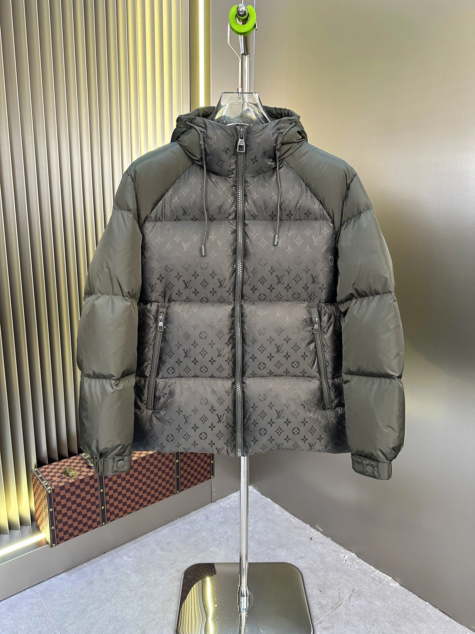 Inexpensive Louis Vuitton Down Jackets