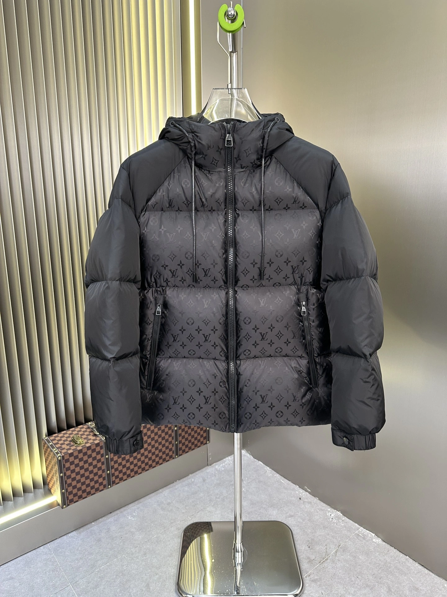 Inexpensive Louis Vuitton Down Jackets