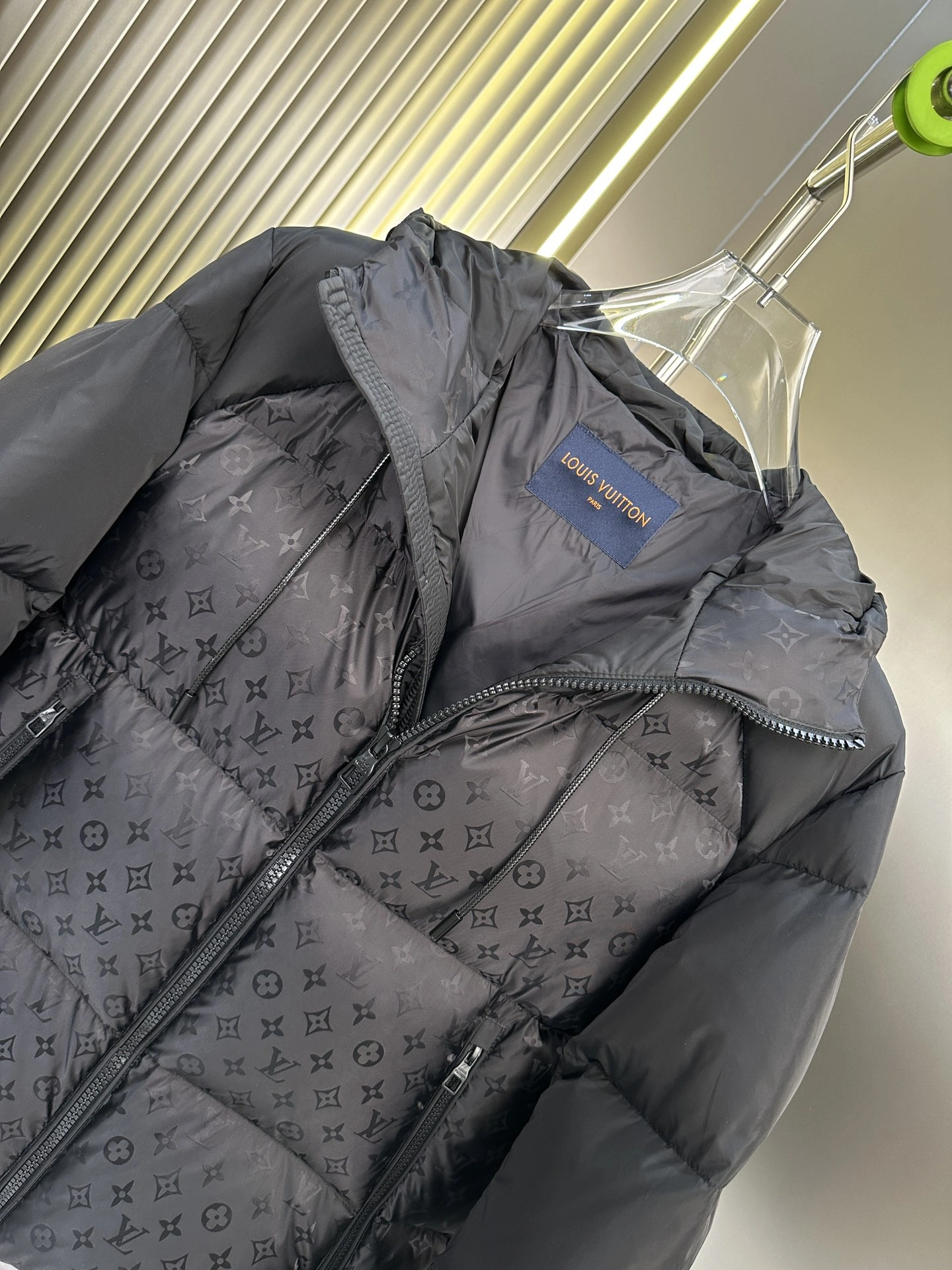 Inexpensive Louis Vuitton Down Jackets