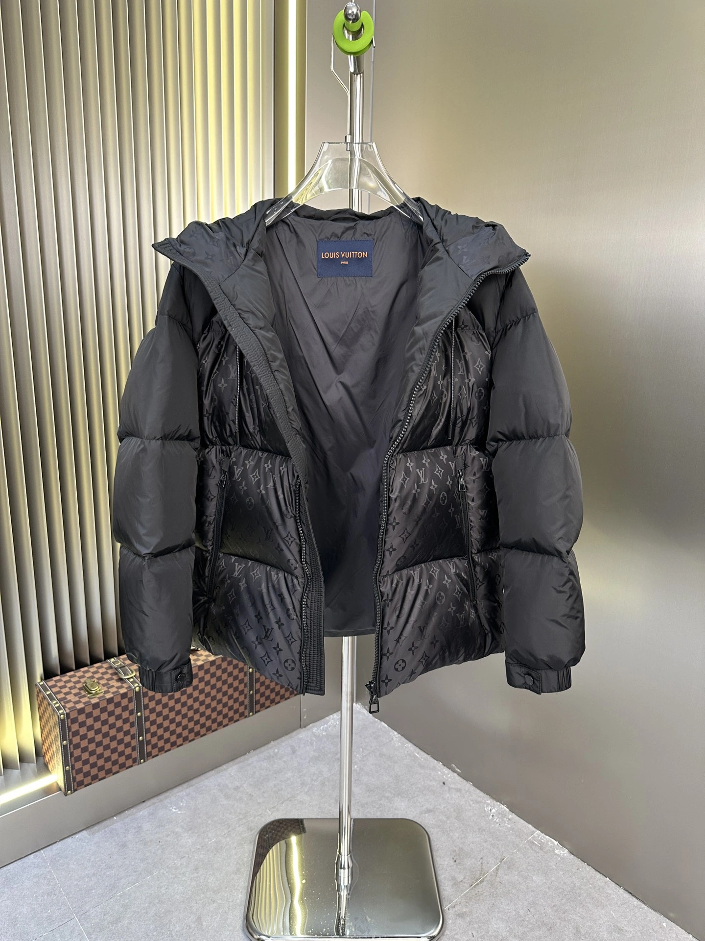 Inexpensive Louis Vuitton Down Jackets