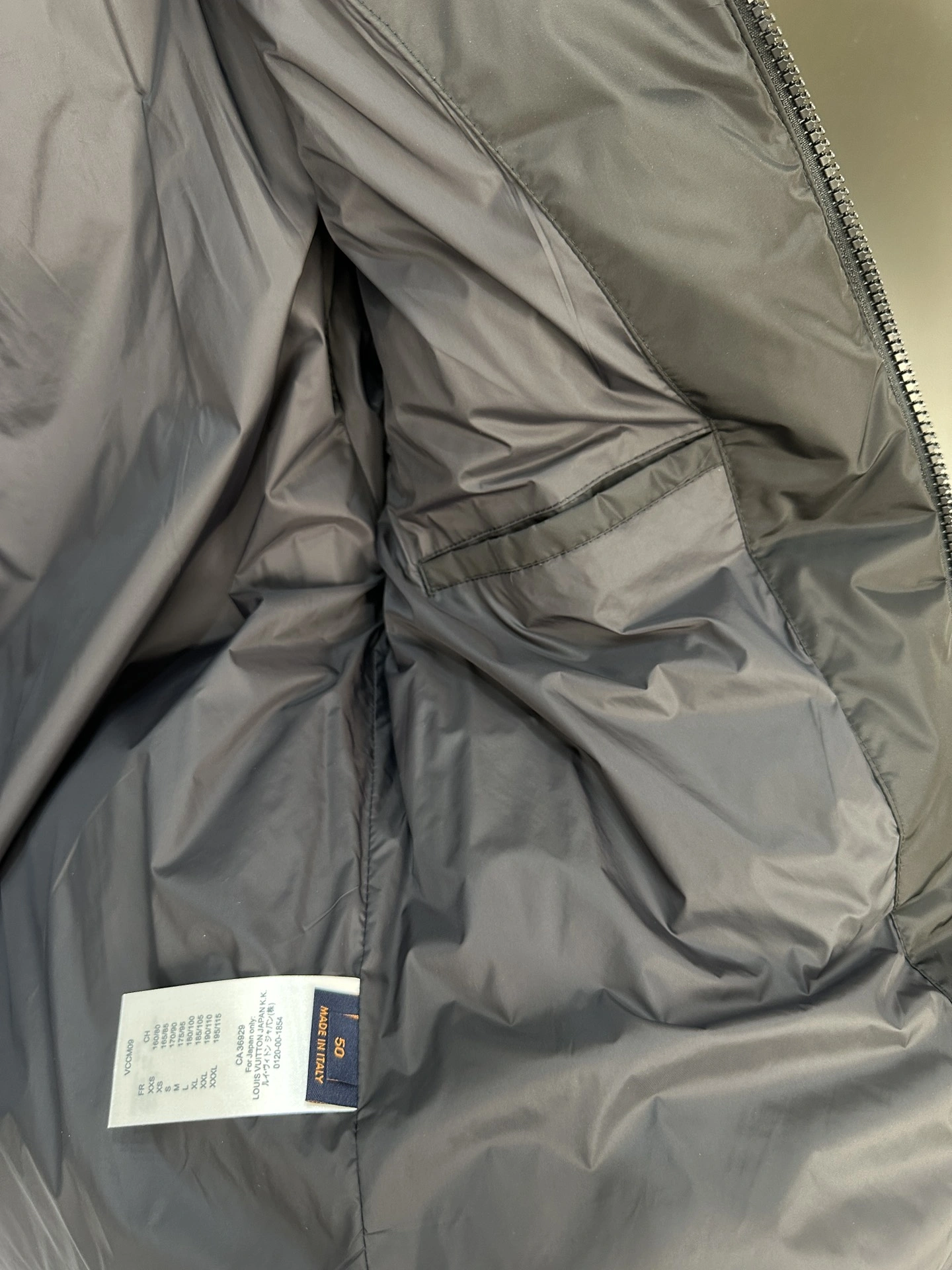 Inexpensive Louis Vuitton Down Jackets