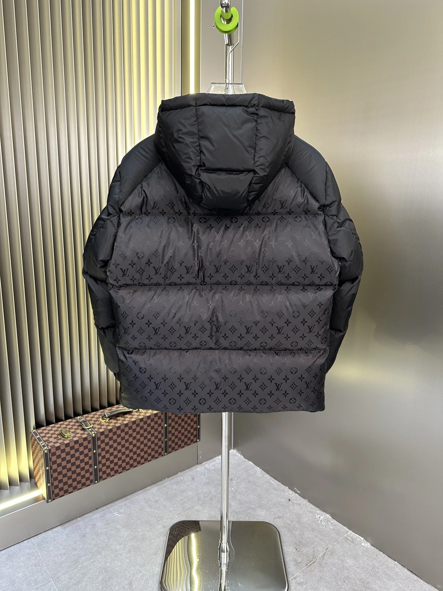 Inexpensive Louis Vuitton Down Jackets