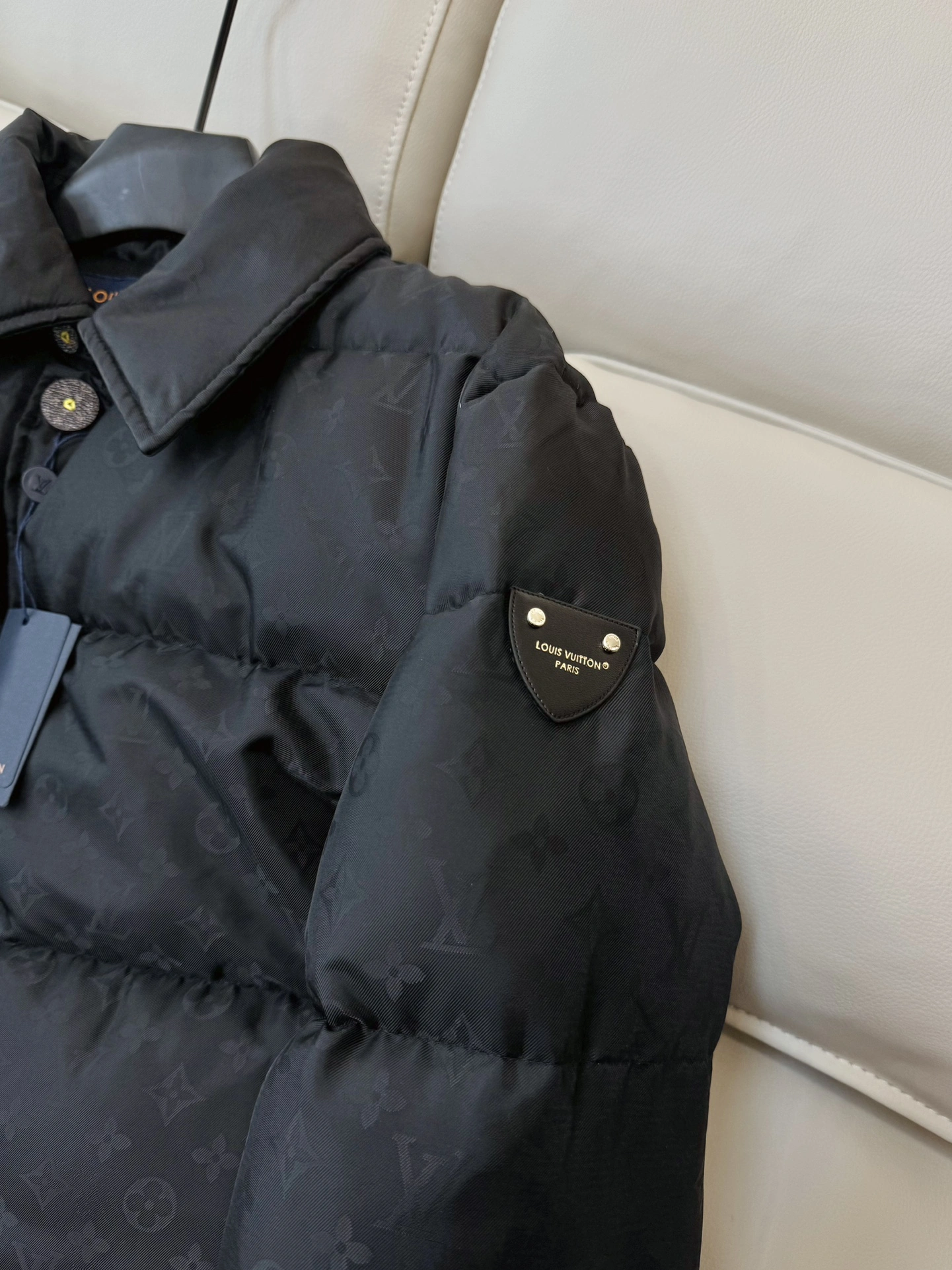 Economical Louis Vuitton Down Jackets