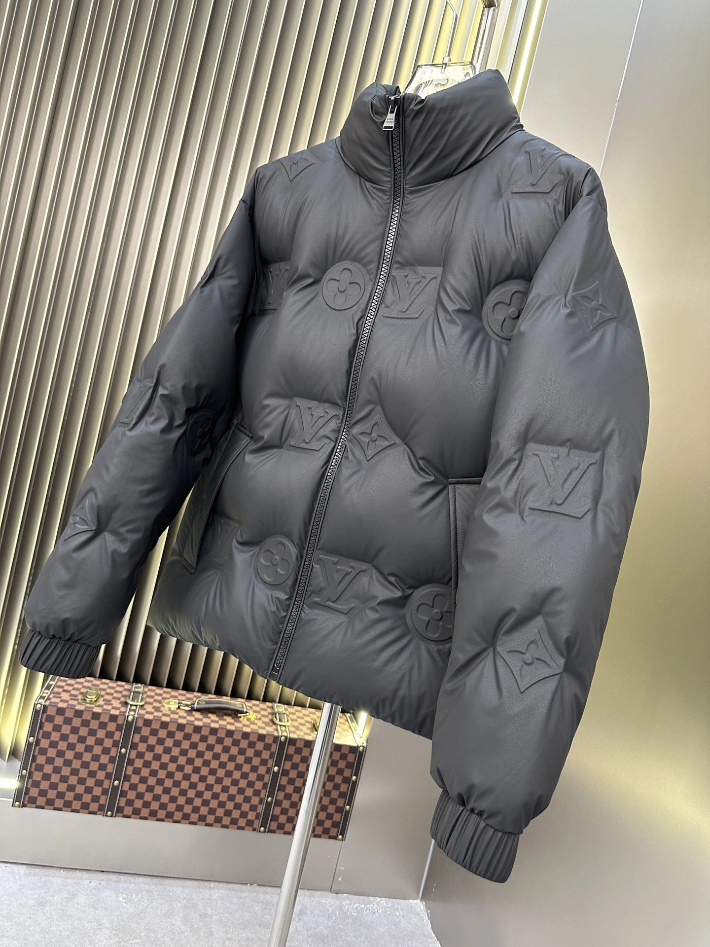 Value-priced Louis Vuitton Down Jackets