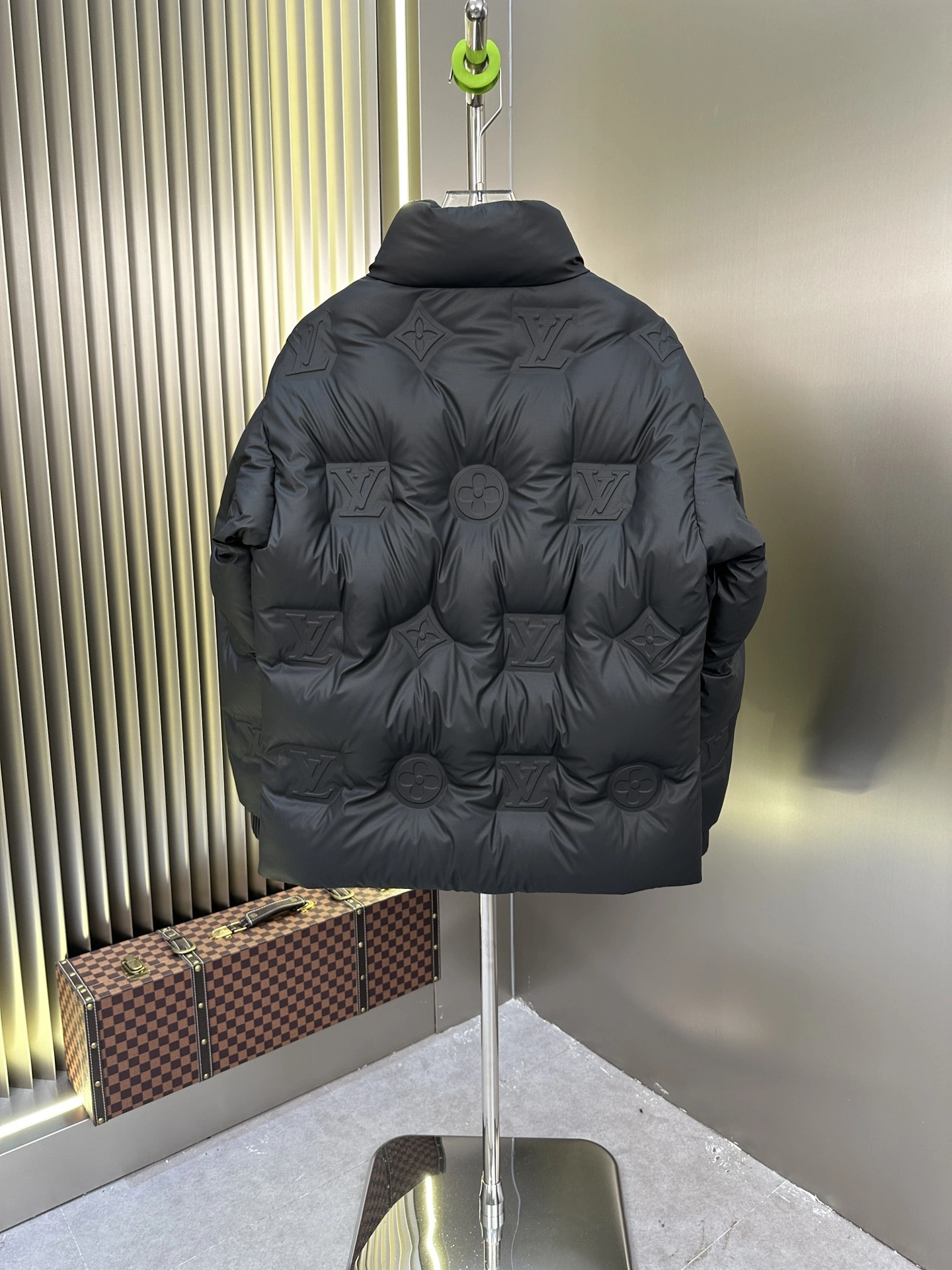 Value-priced Louis Vuitton Down Jackets