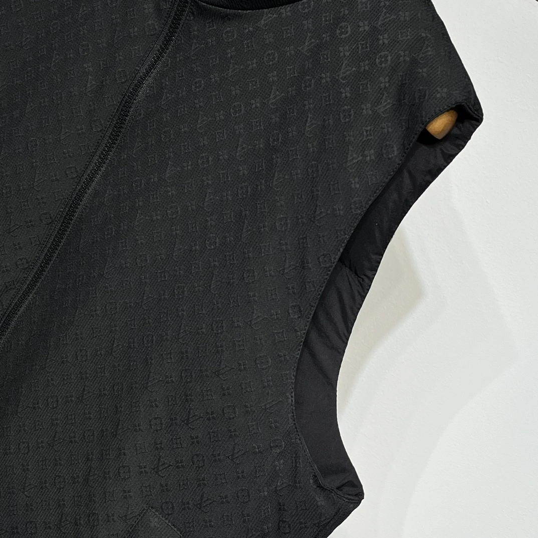 Original Louis Vuitton Down Jackets