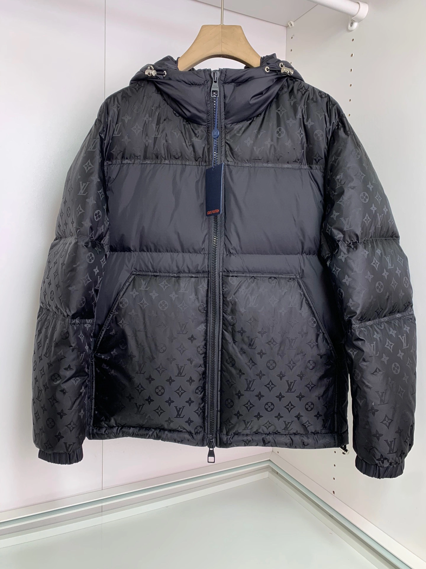 Louis Vuitton Down Jackets