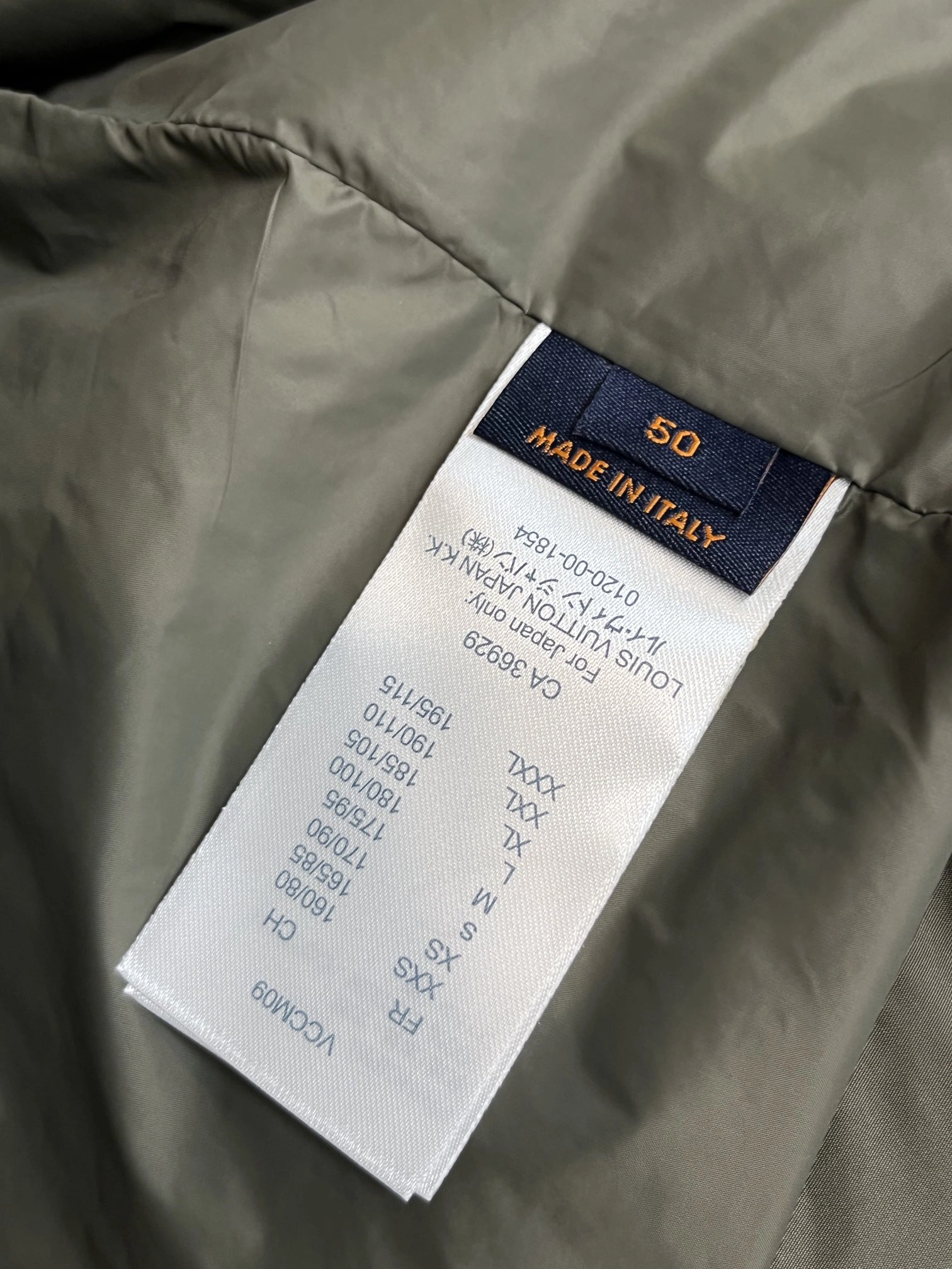 Louis Vuitton Down Jackets