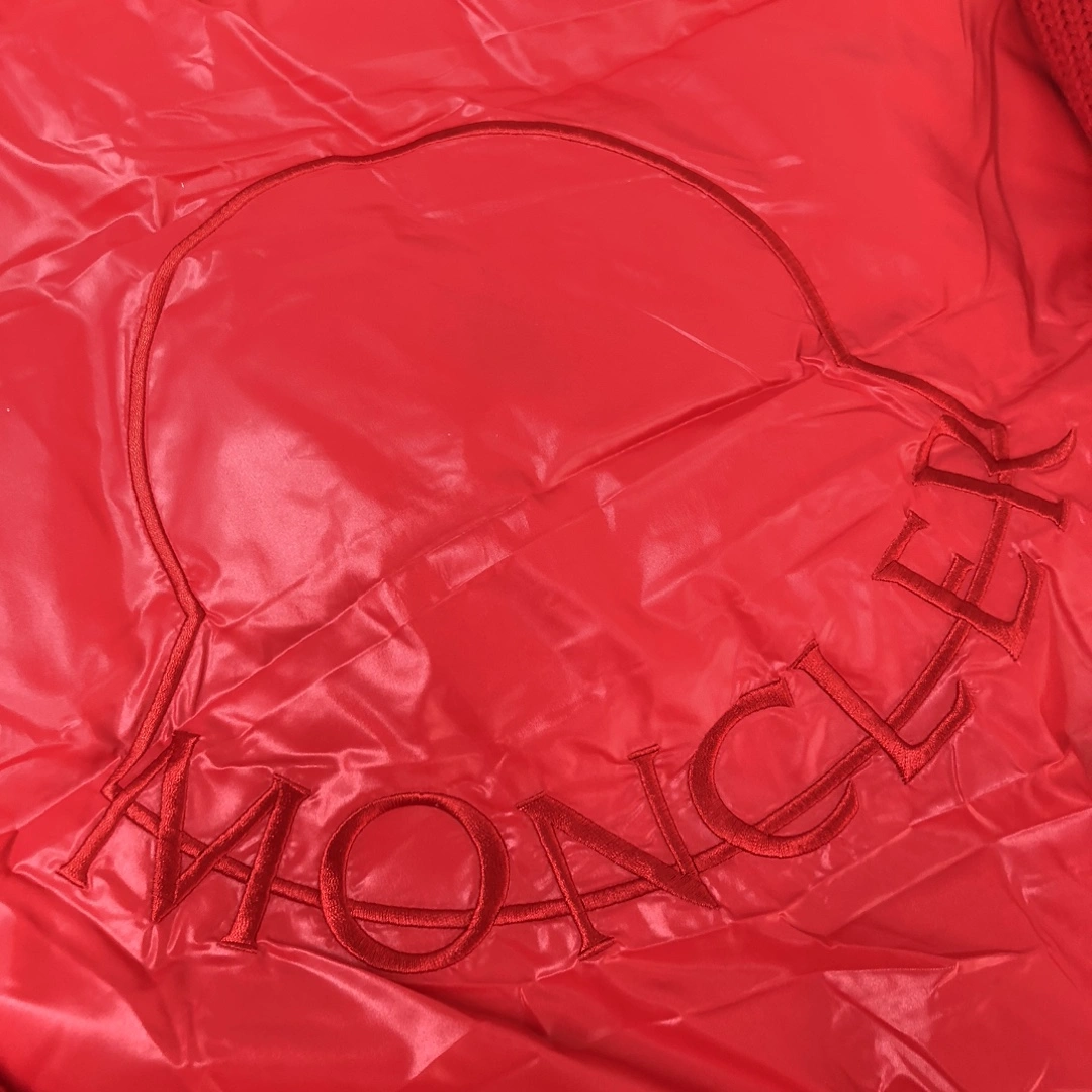 Exact replica Louis Vuitton Down Jackets