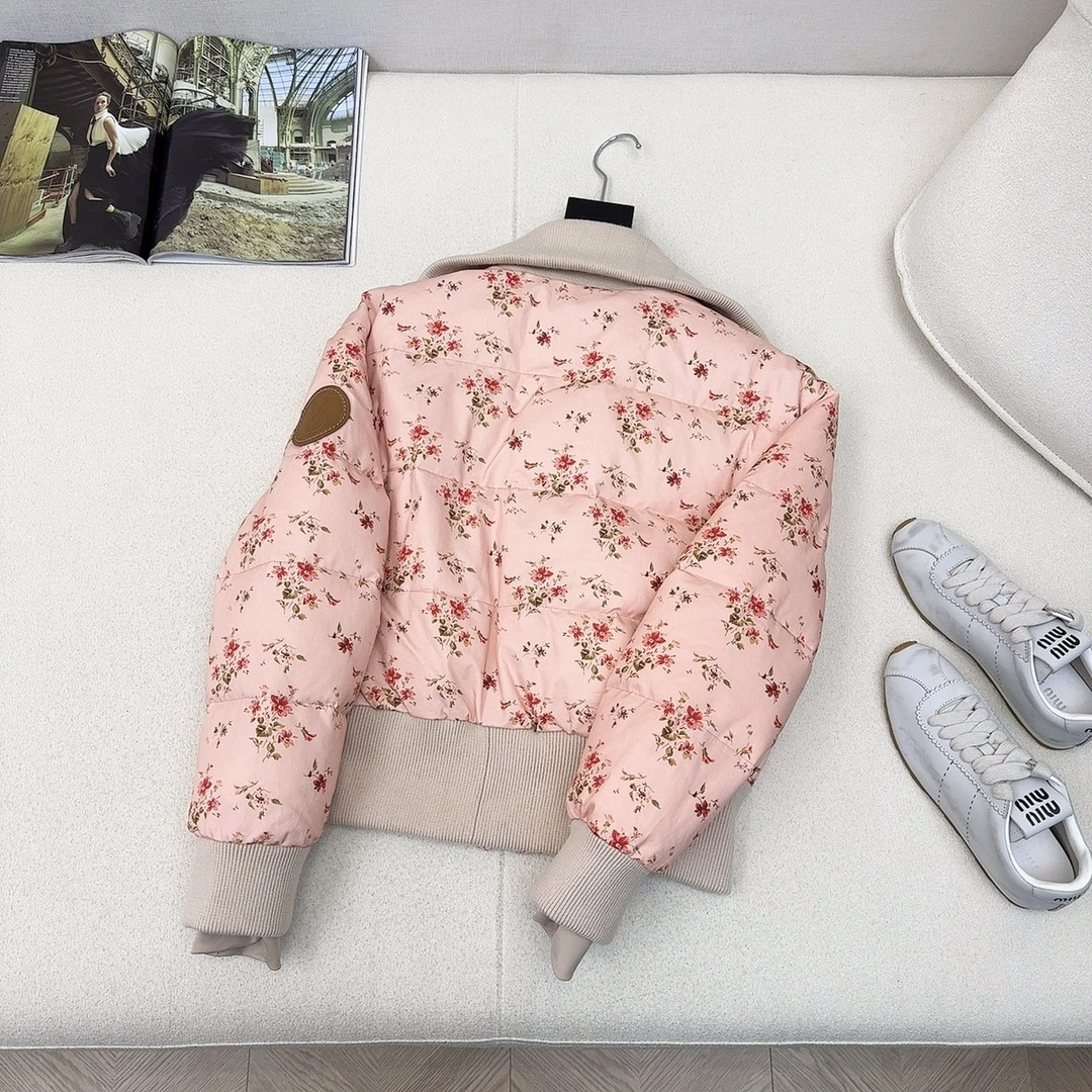 1:1 copy Louis Vuitton Down Jackets