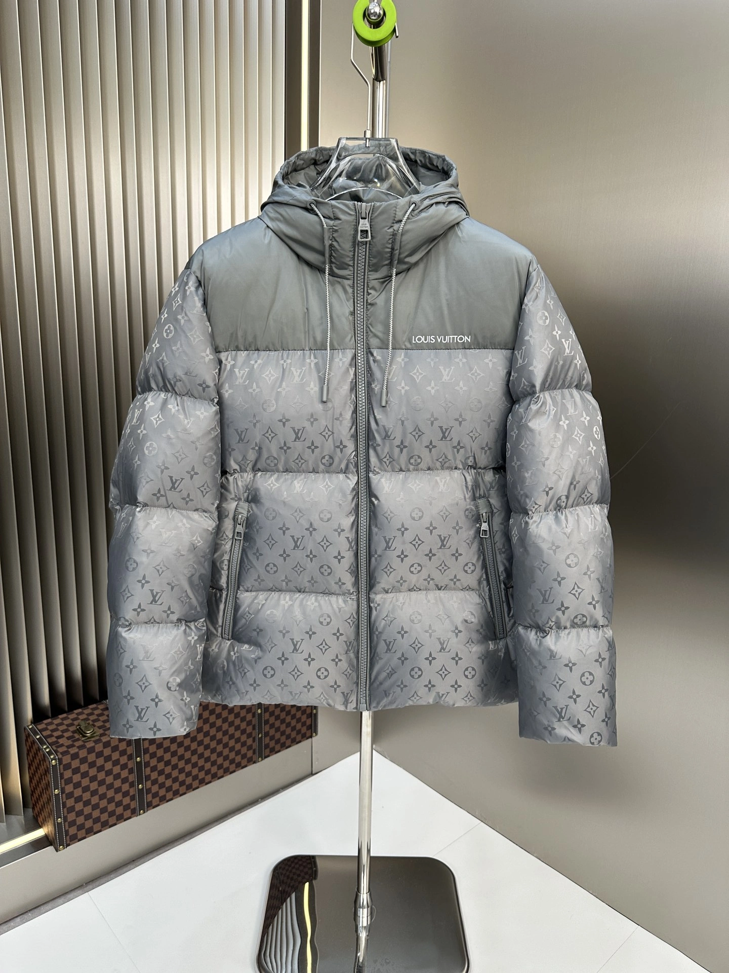 Value-priced Louis Vuitton Down Jackets