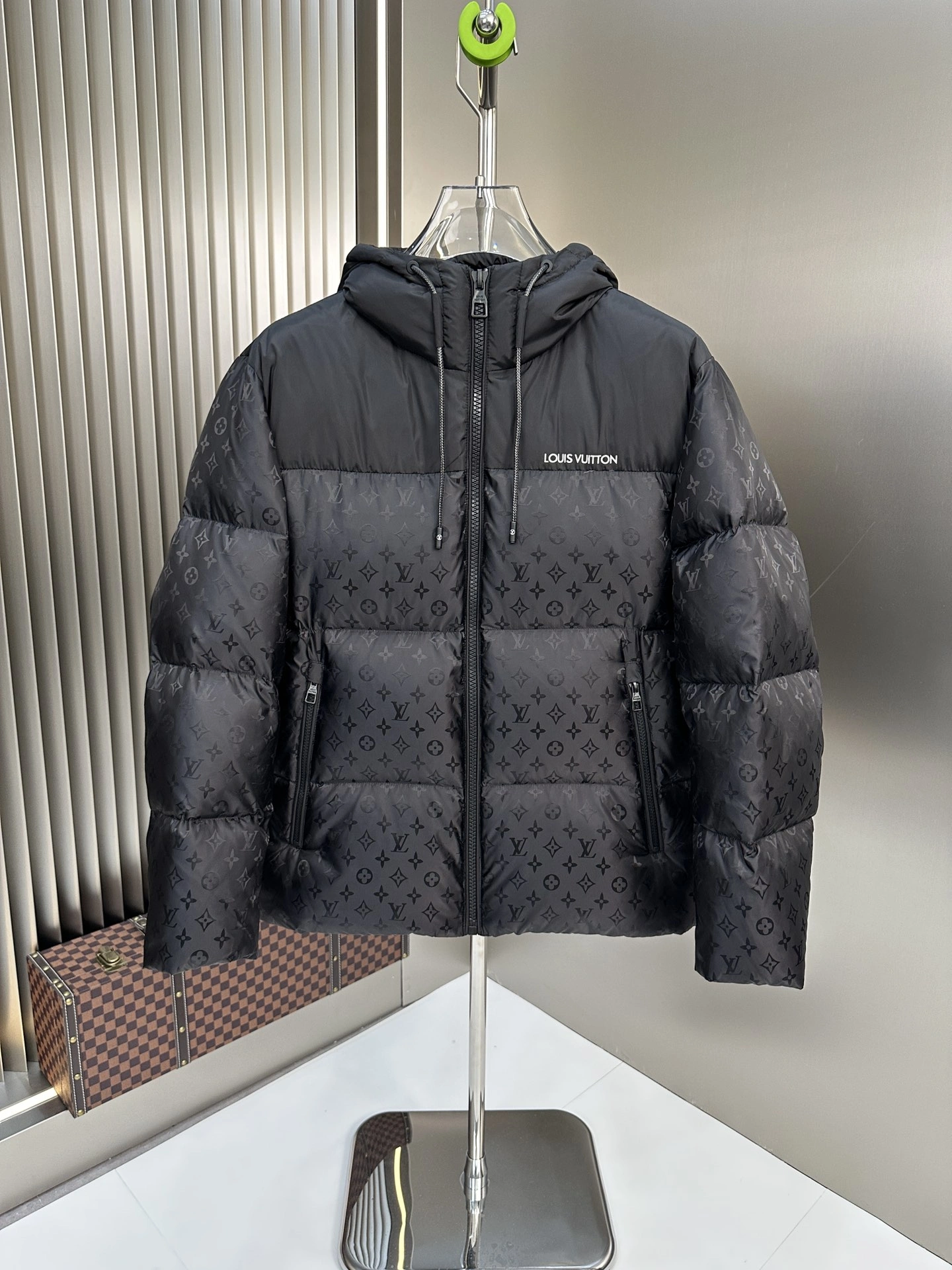 Value-priced Louis Vuitton Down Jackets