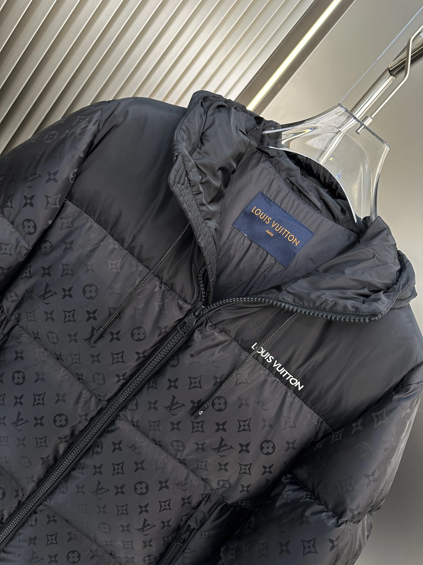 Value-priced Louis Vuitton Down Jackets