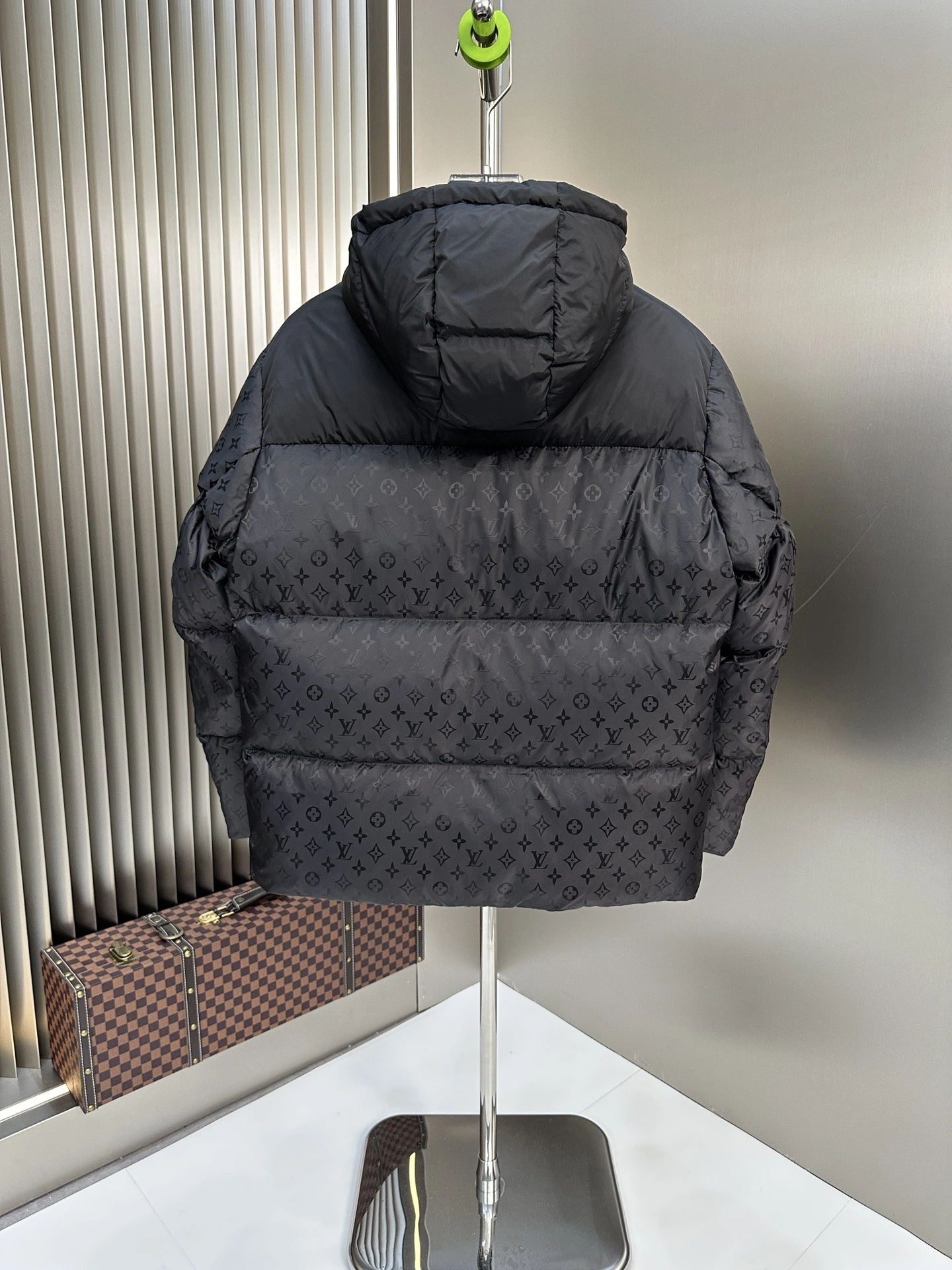 Value-priced Louis Vuitton Down Jackets