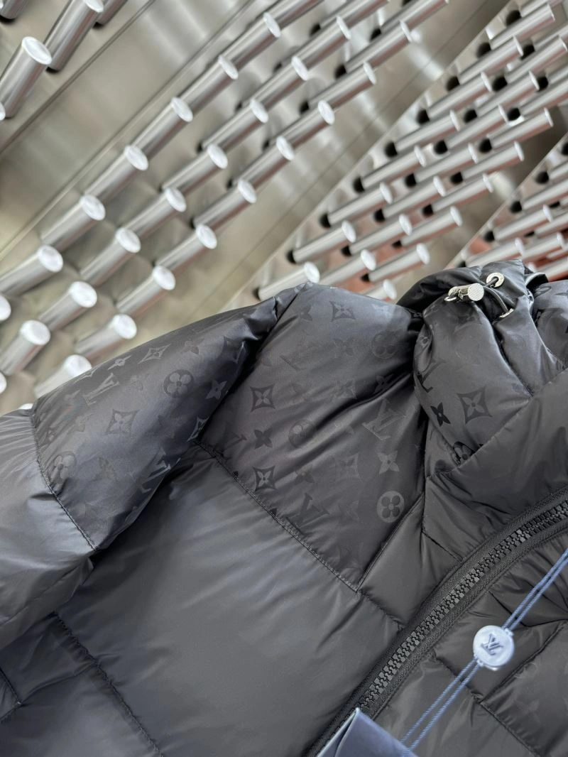 Precise copy Louis Vuitton Down Jackets
