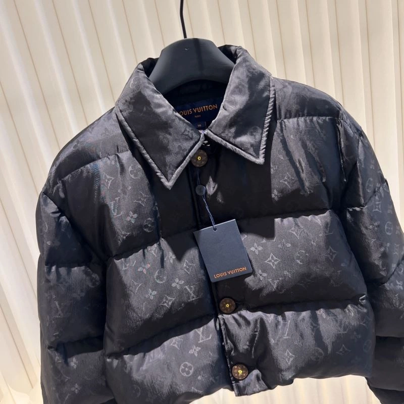 Mirror quality Louis Vuitton Down Jackets