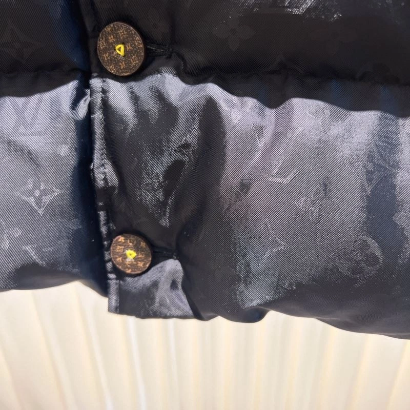 Mirror quality Louis Vuitton Down Jackets