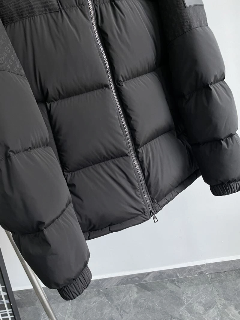 Inexpensive Louis Vuitton Down Jackets