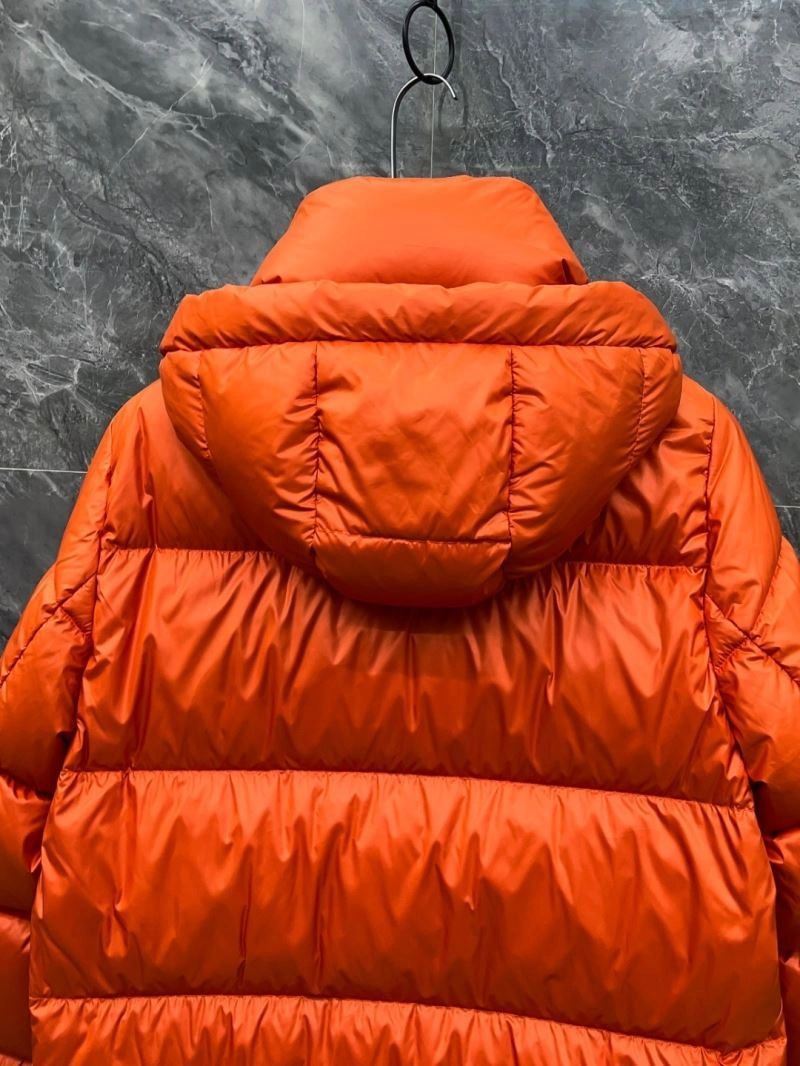 Economical Louis Vuitton Down Jackets