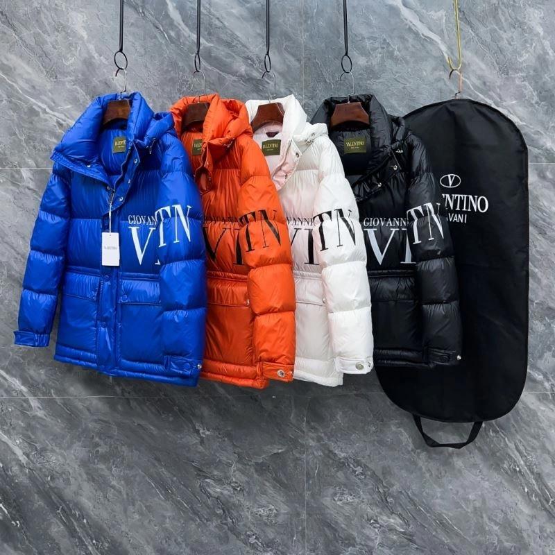 Louis Vuitton Down Jackets