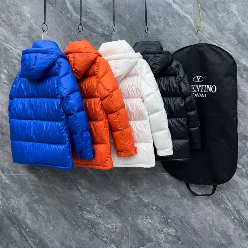Budget-friendly Louis Vuitton Down Jackets