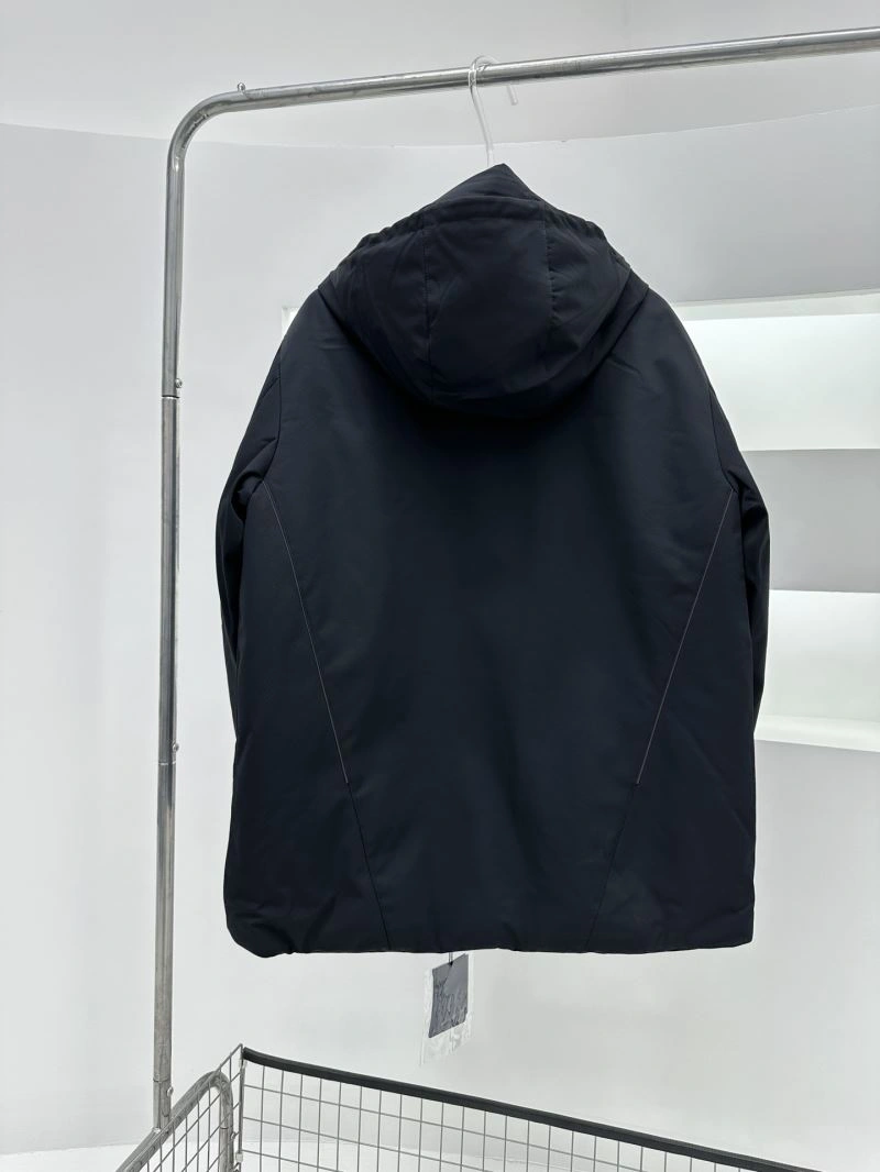Legit Louis Vuitton Down Jackets