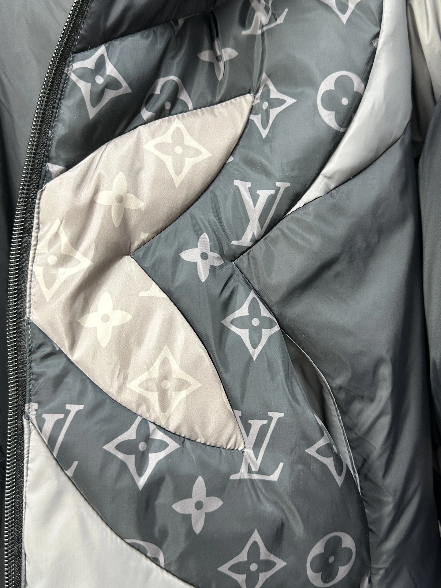 Inexpensive Louis Vuitton Down Jackets