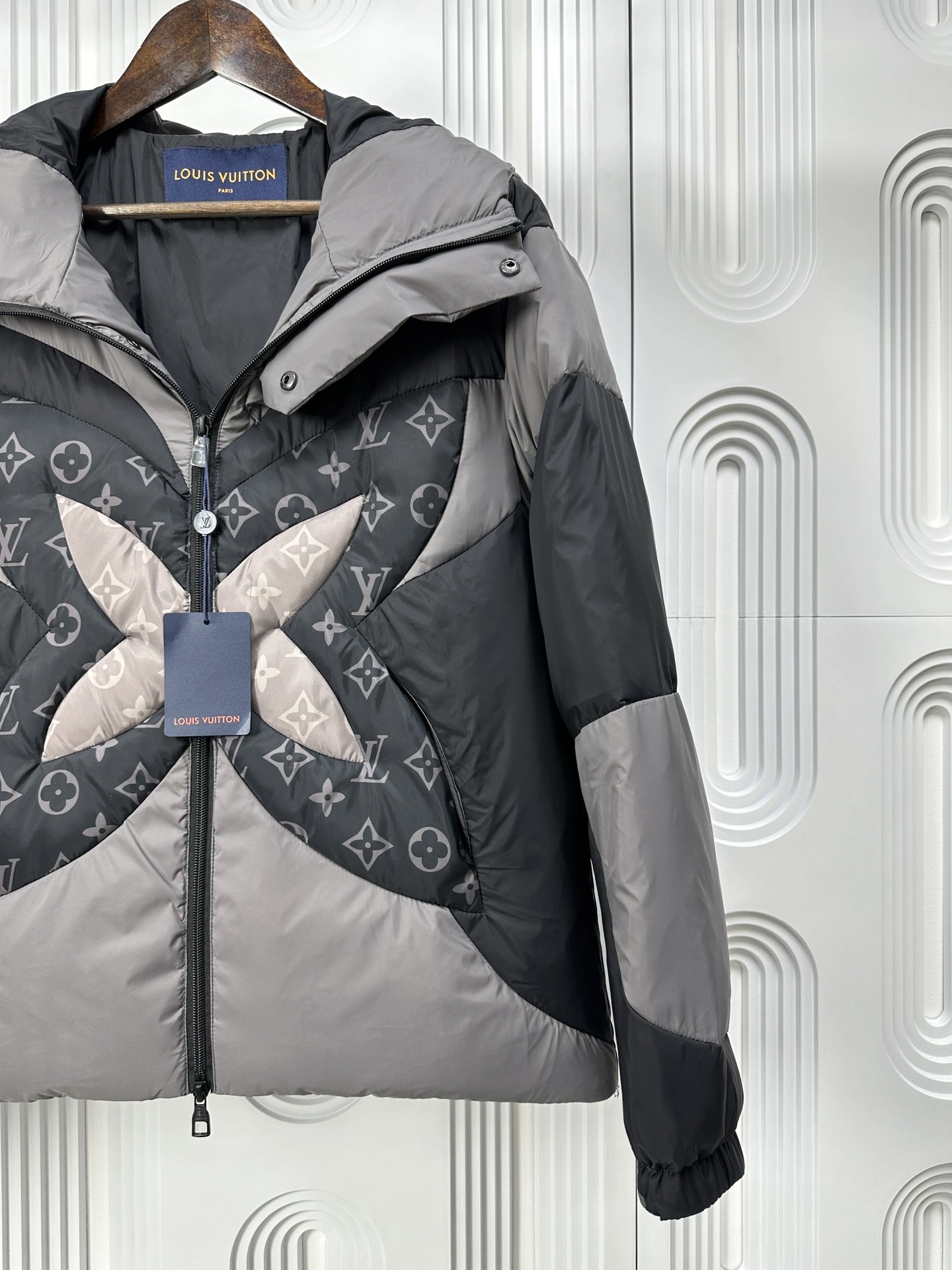Inexpensive Louis Vuitton Down Jackets