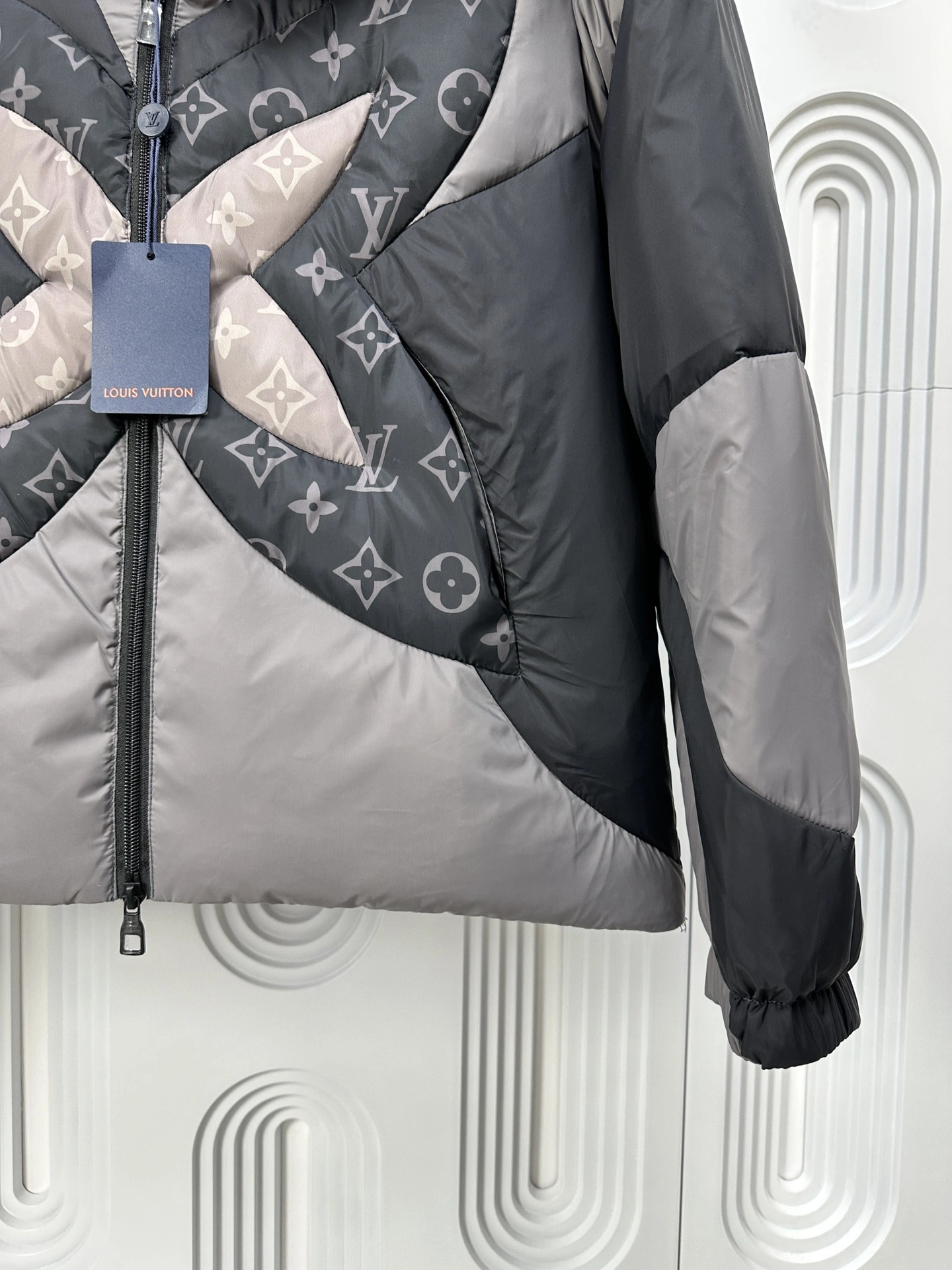Inexpensive Louis Vuitton Down Jackets