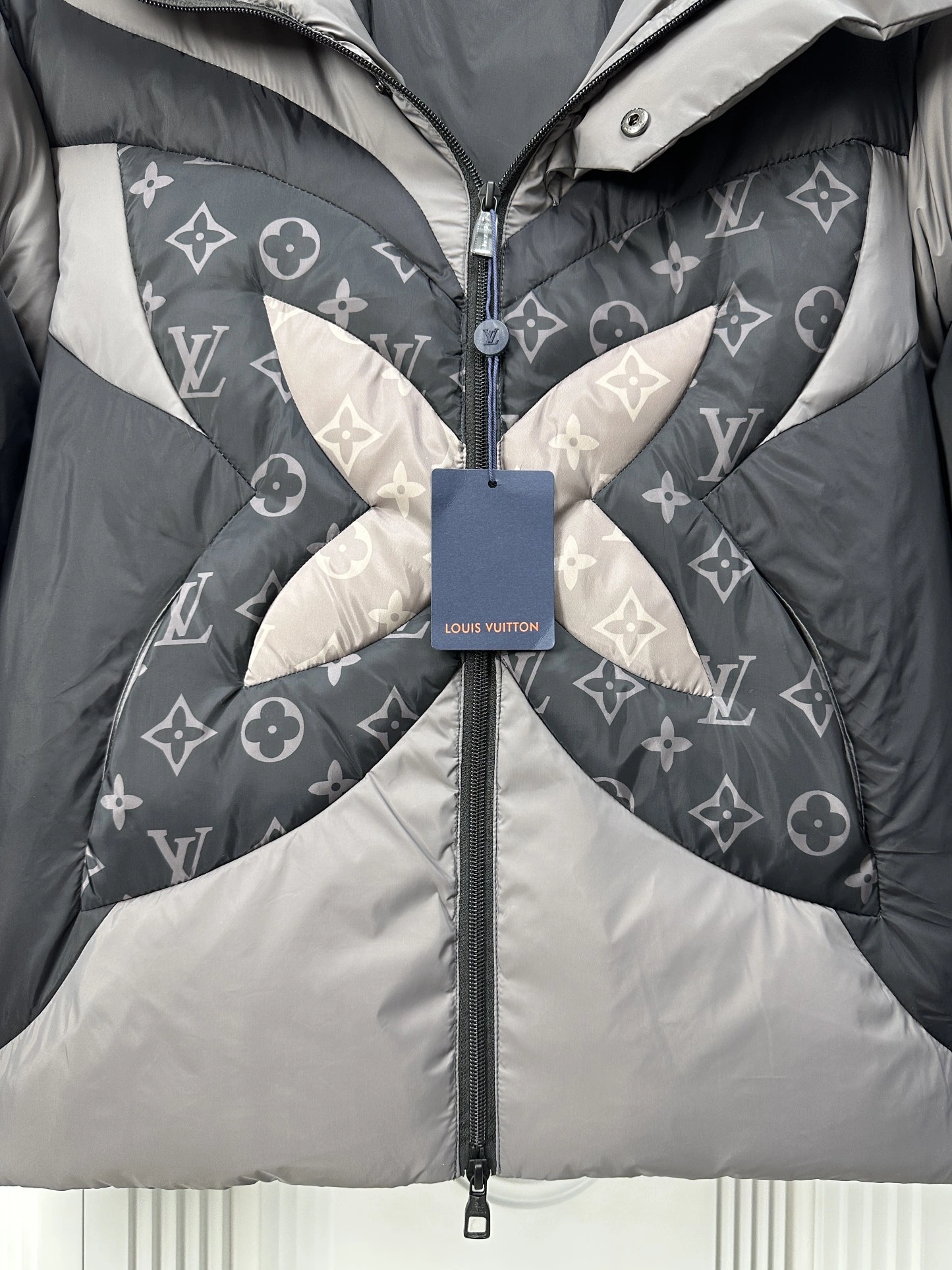 Inexpensive Louis Vuitton Down Jackets