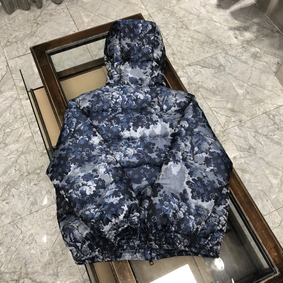 Reasonably priced Louis Vuitton Down Jackets