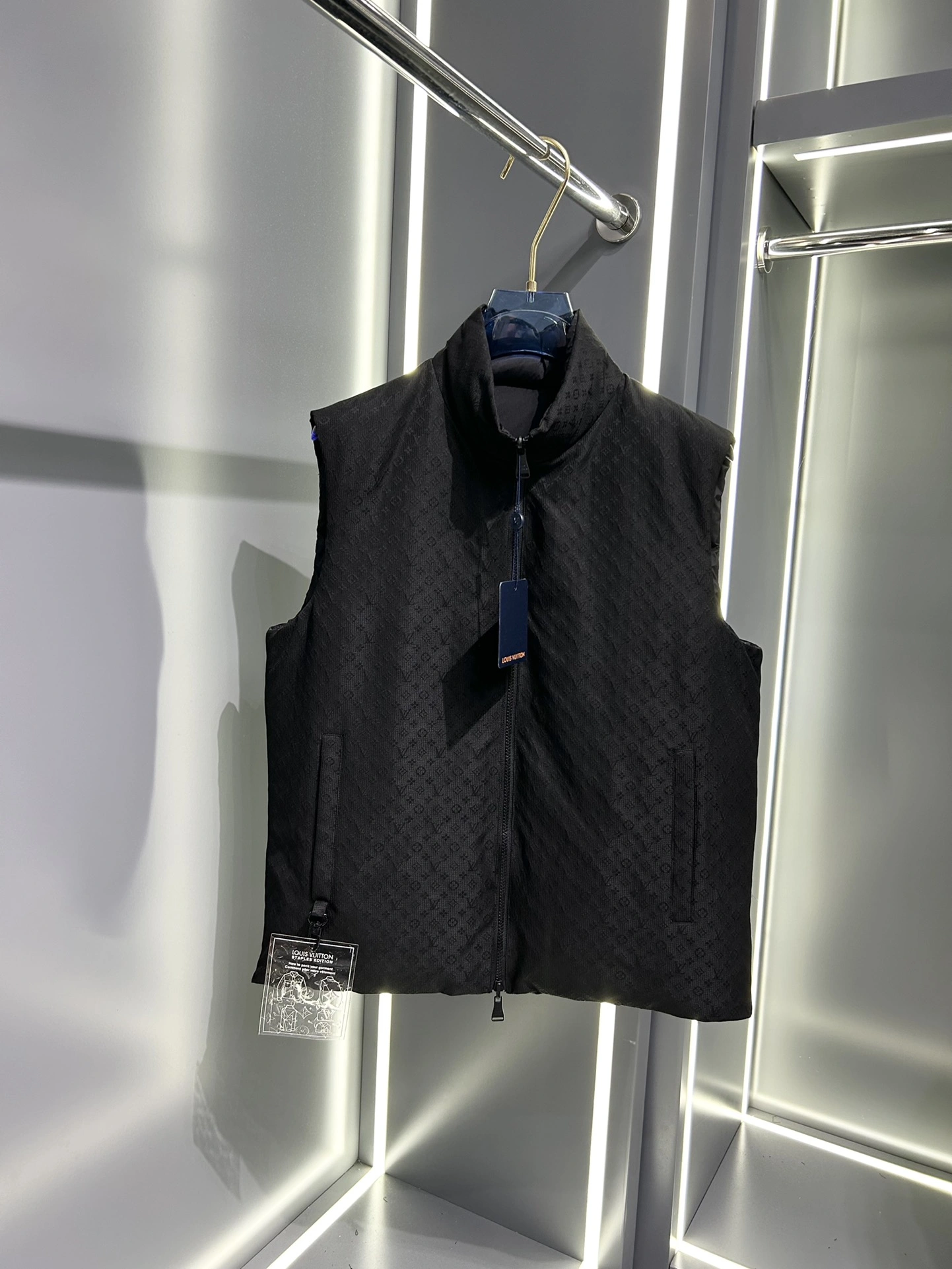 Louis Vuitton Down Jackets