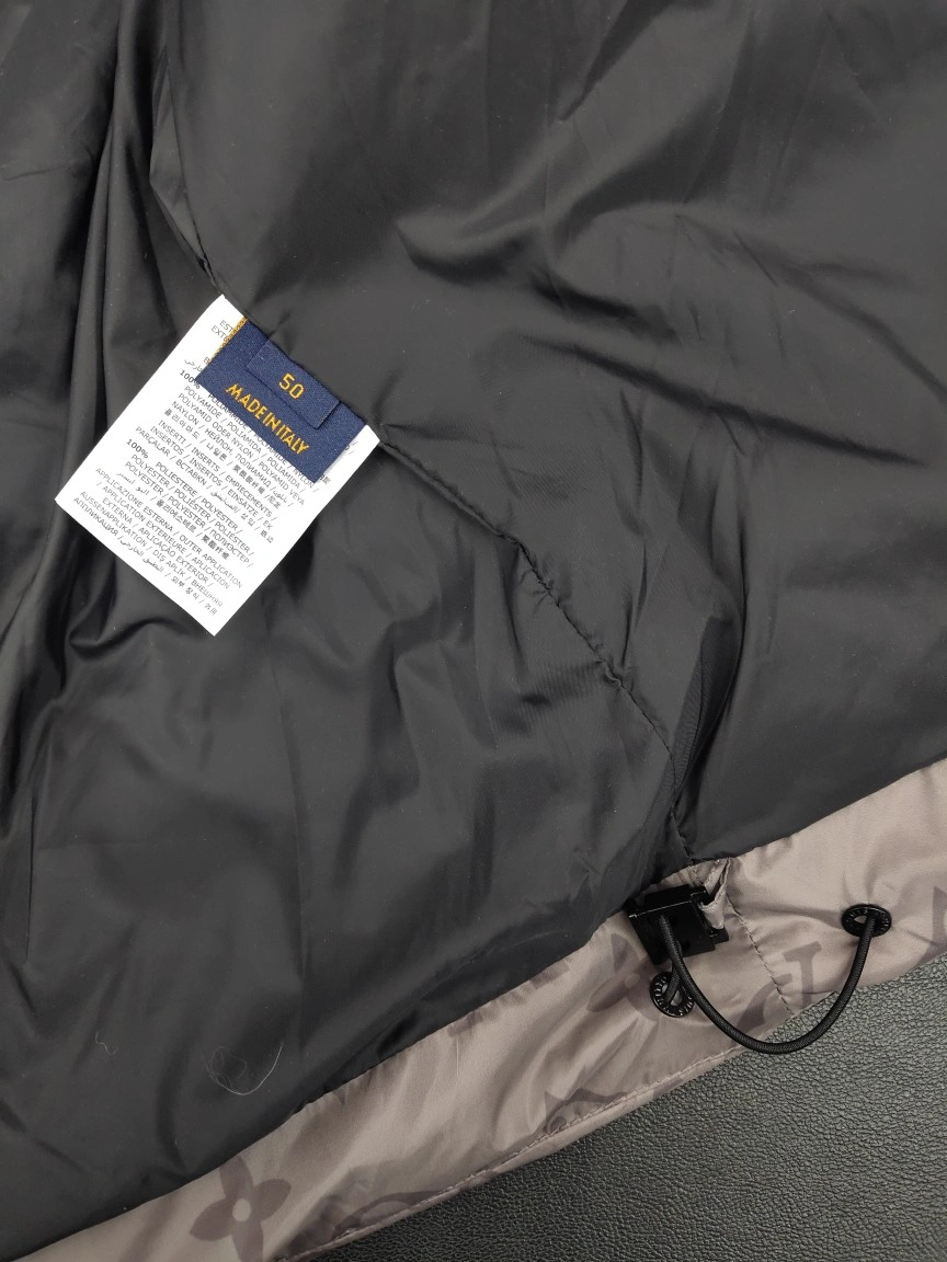 Inexpensive Louis Vuitton Down Jackets