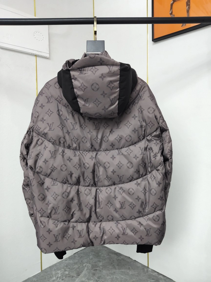 Inexpensive Louis Vuitton Down Jackets