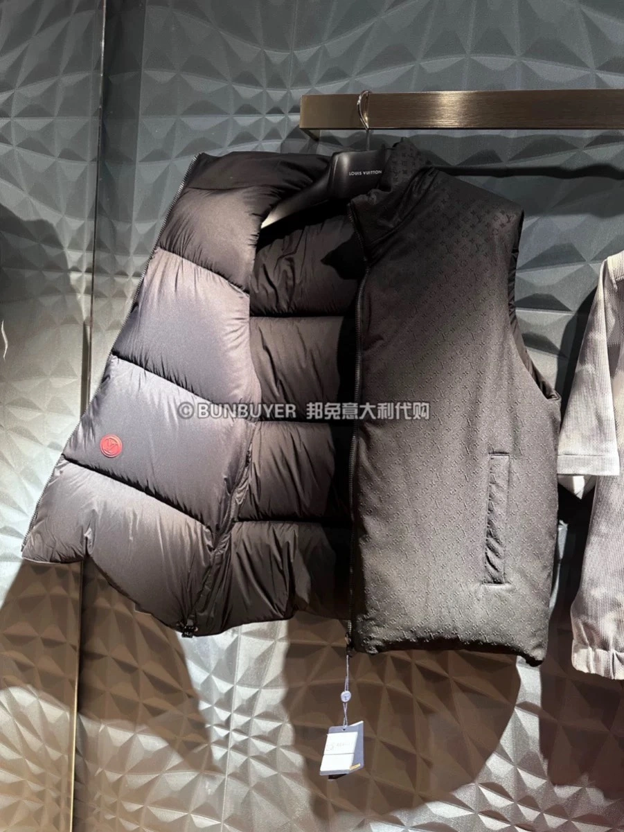 Louis Vuitton Down Jackets