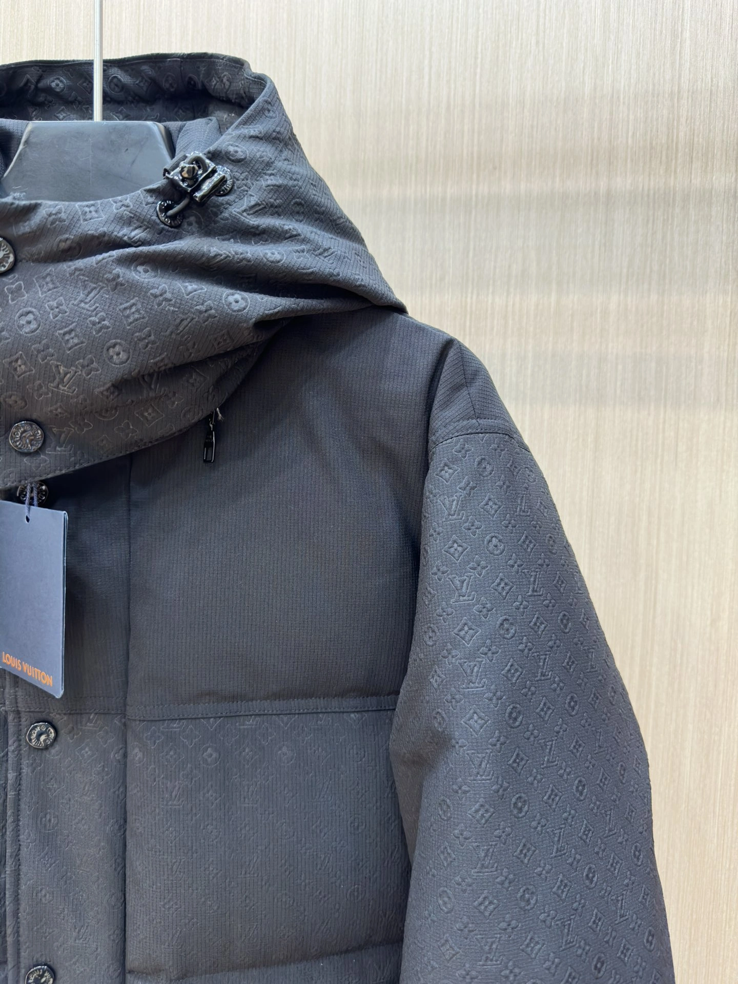 High accuracy Louis Vuitton Down Jackets