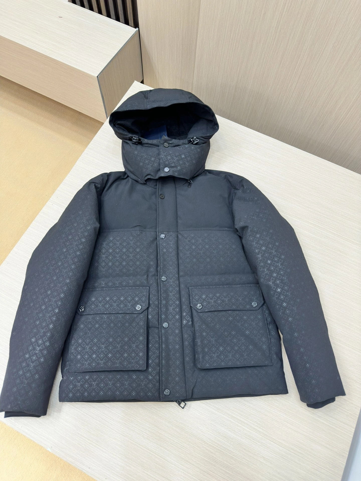 Louis Vuitton Down Jackets