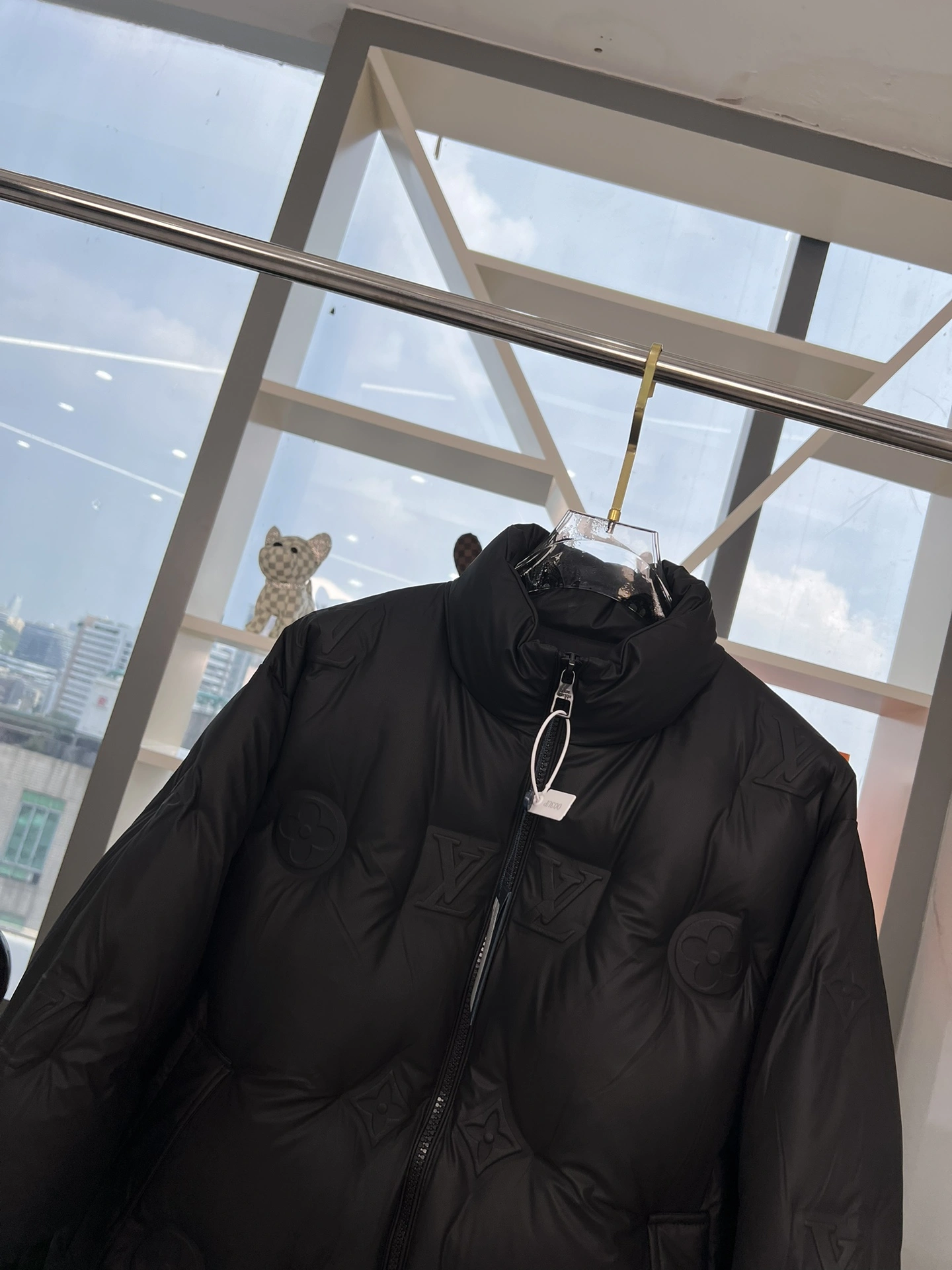 Top match Louis Vuitton Down Jackets