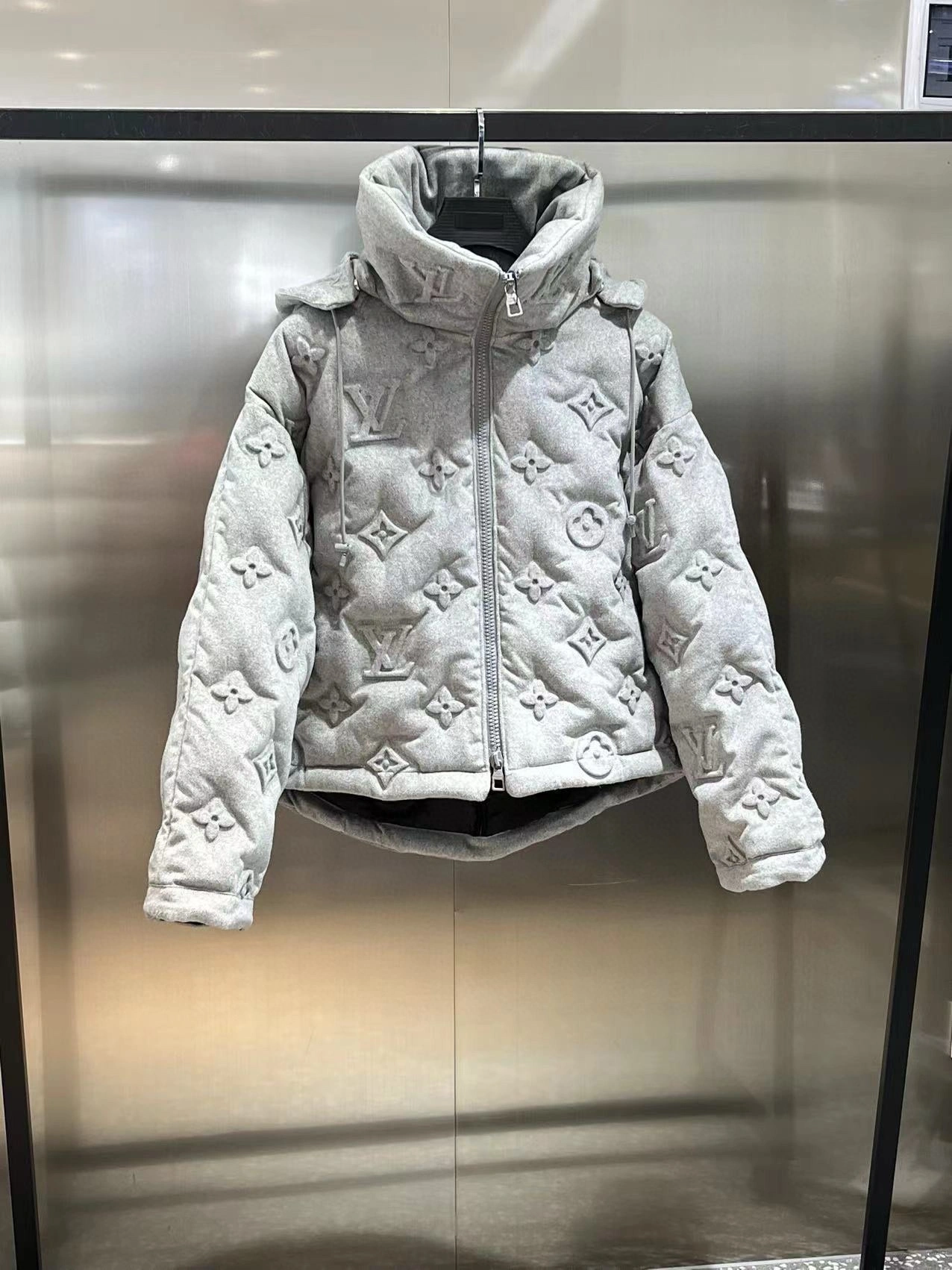 Louis Vuitton Down Jackets