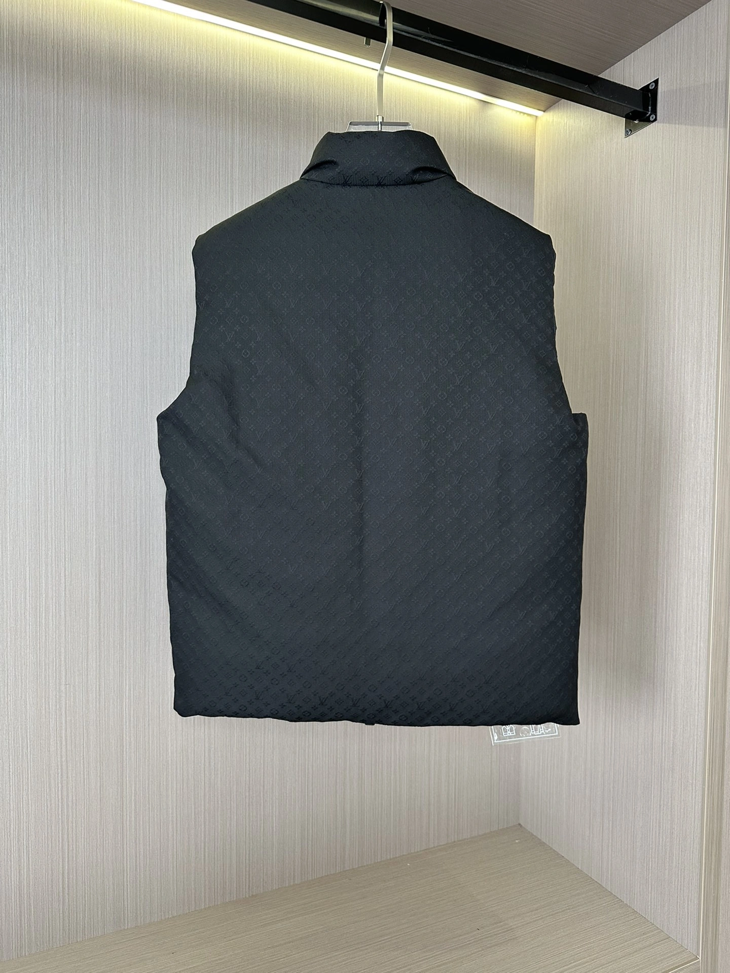 1:1 copy Louis Vuitton Down Jackets