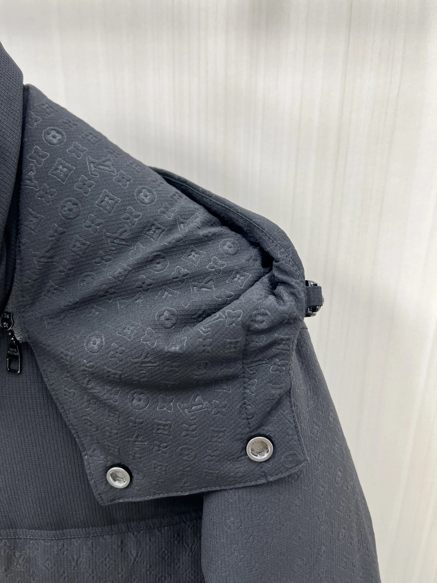Discounted Louis Vuitton Down Jackets