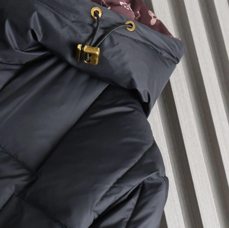Cut-rate Louis Vuitton Down Jackets