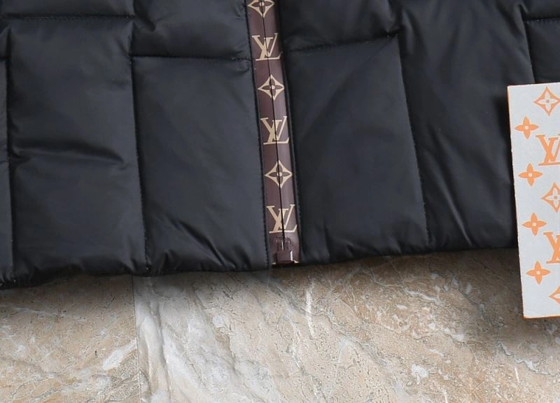 Cut-rate Louis Vuitton Down Jackets
