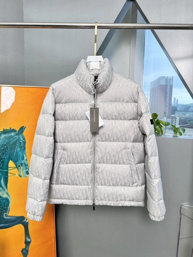 Louis Vuitton Down Jackets